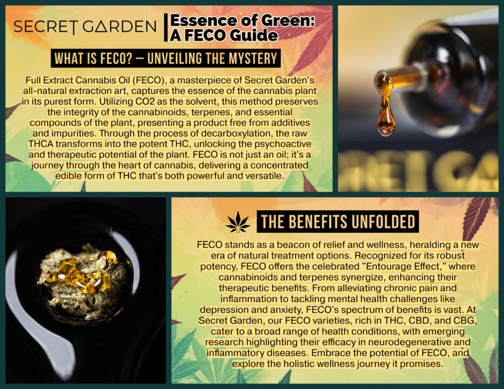 Unlocking the Power of FECO: Full Extract Cannabis Oil Explained ...